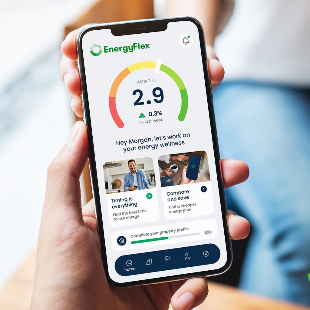 EnergyFlex looks to reposition brand with clean energy transition campaign | Mi3