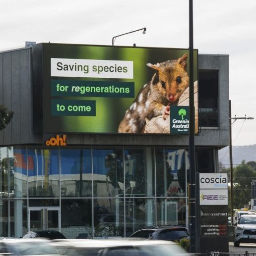 oOh!Media, POLY deliver OOH awareness campaign for Greening Australia | Mi3