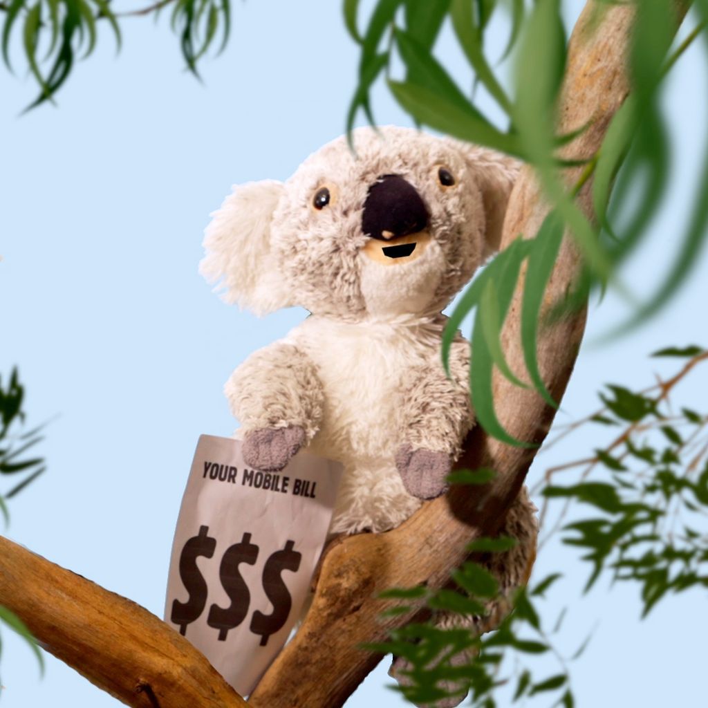 Amaysim introduces Koala mascots in new social-first campaign | Mi3