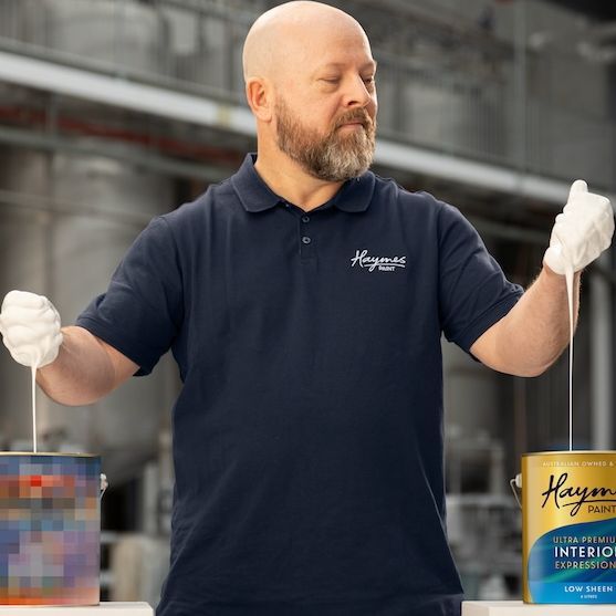 Haymes Paint launches 'You bet it’s better' campaign, targeting trade ...