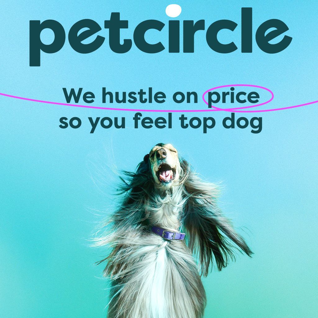 Pet Circle unleashes rebrand and 'Top Dog' campaign, promising best ...