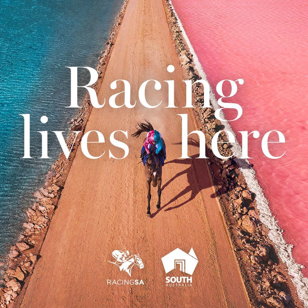 Racing SA launches first national campaign via Emotive | Mi3