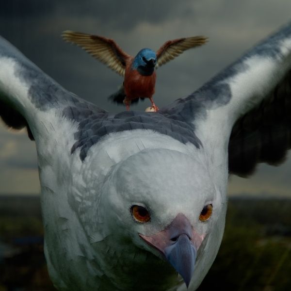 Allianz scores Australia's favourite ad in latest TRA survey, but brand ...