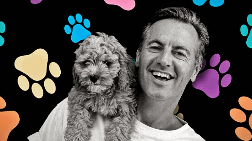 Andy Morley becomes Pet Circle’s first chief customer officer – joins ...