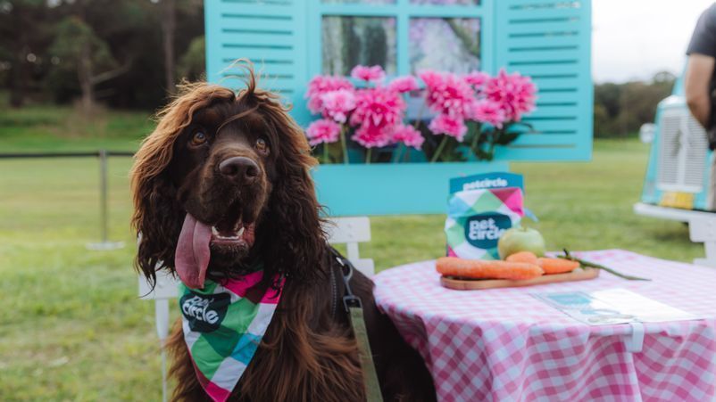 RAA buzzes into new era with 'Trev', the talking, bearded bee | Mi3